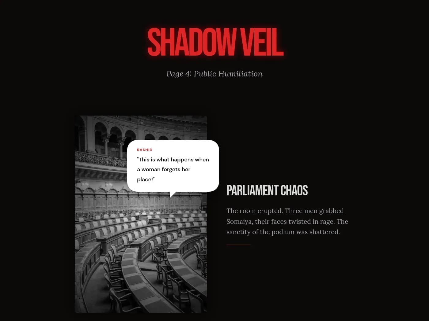 Shadow Veil: Page 4