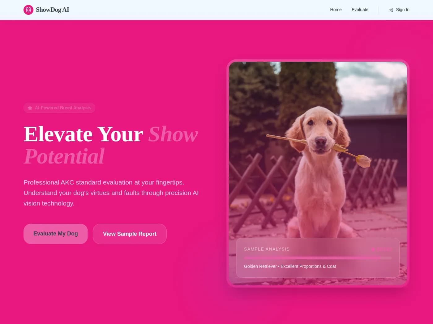 Show Dog AI Evaluator