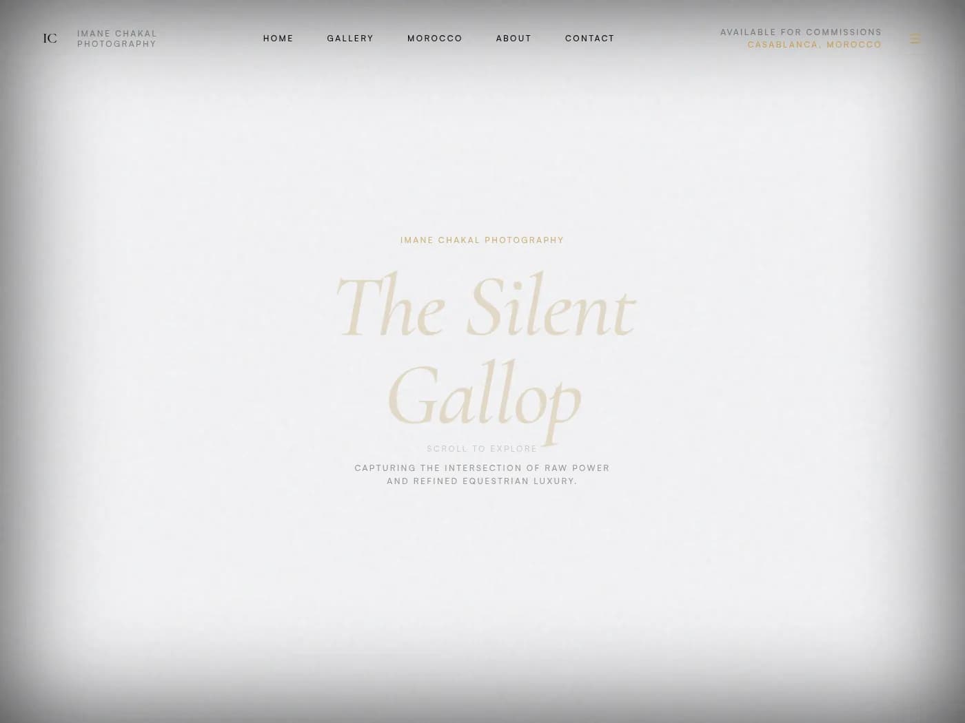 Silent Gallop Gallery