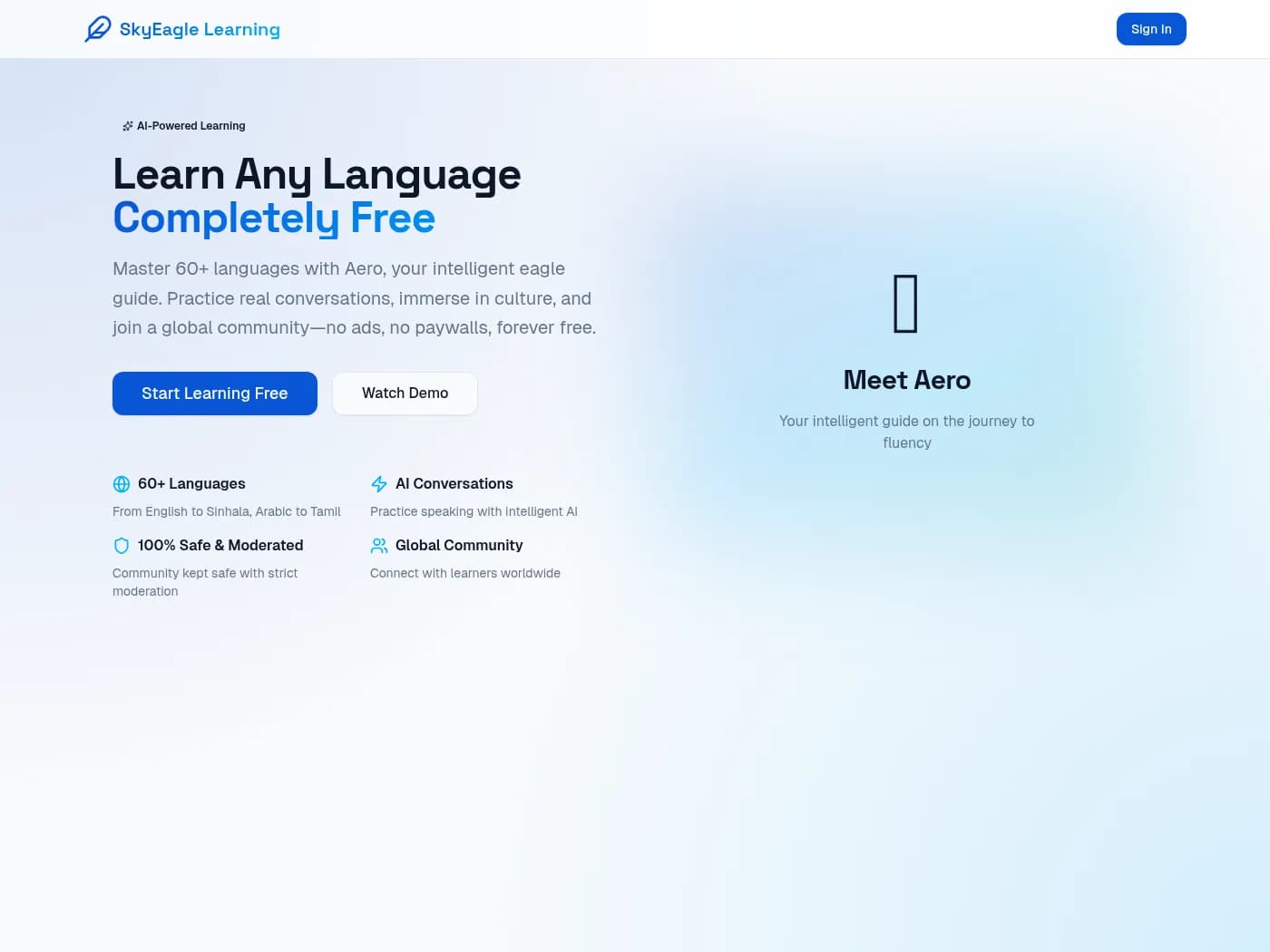 SkyEagle Learning Hub