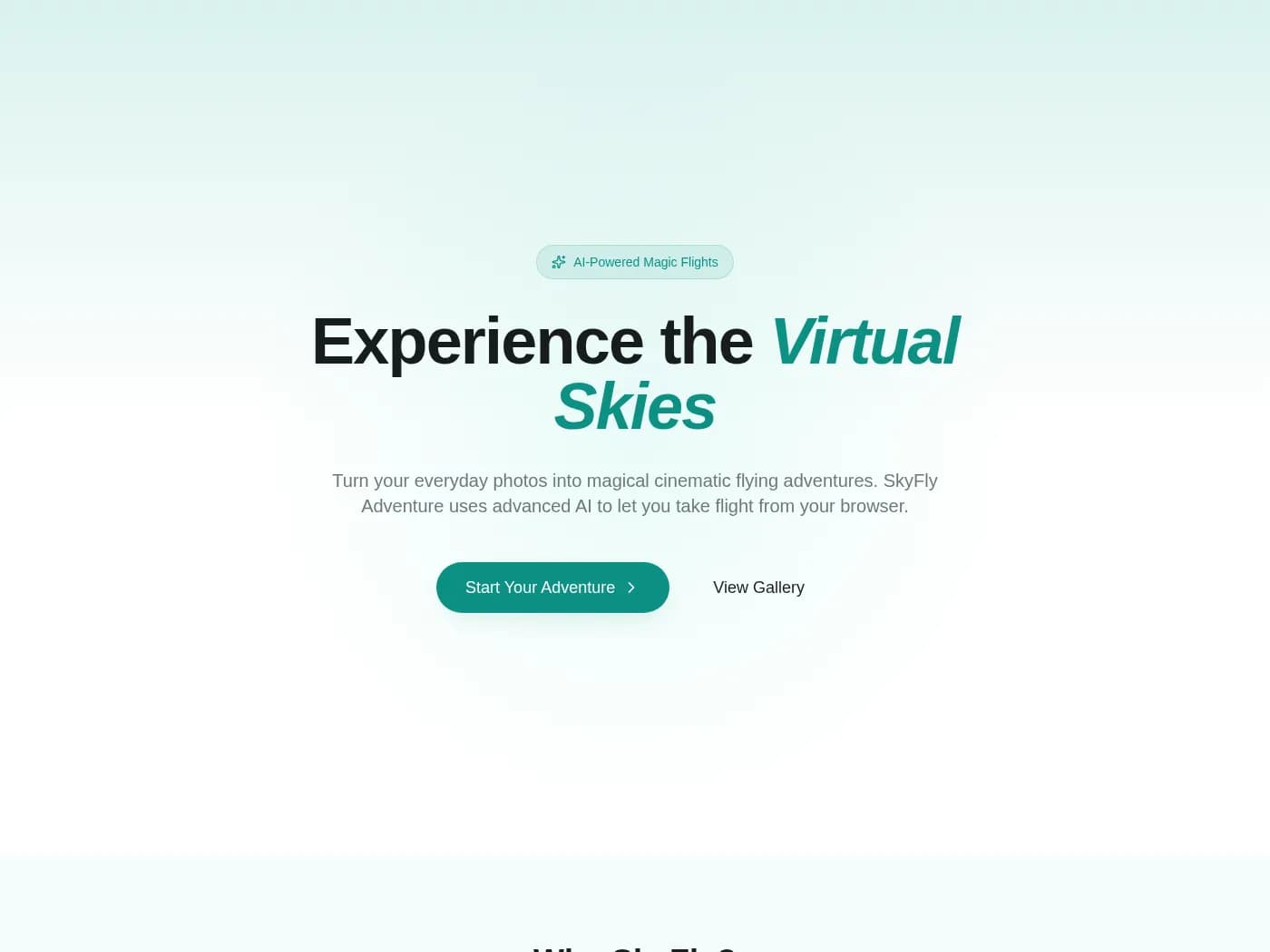 SkyFly Adventure