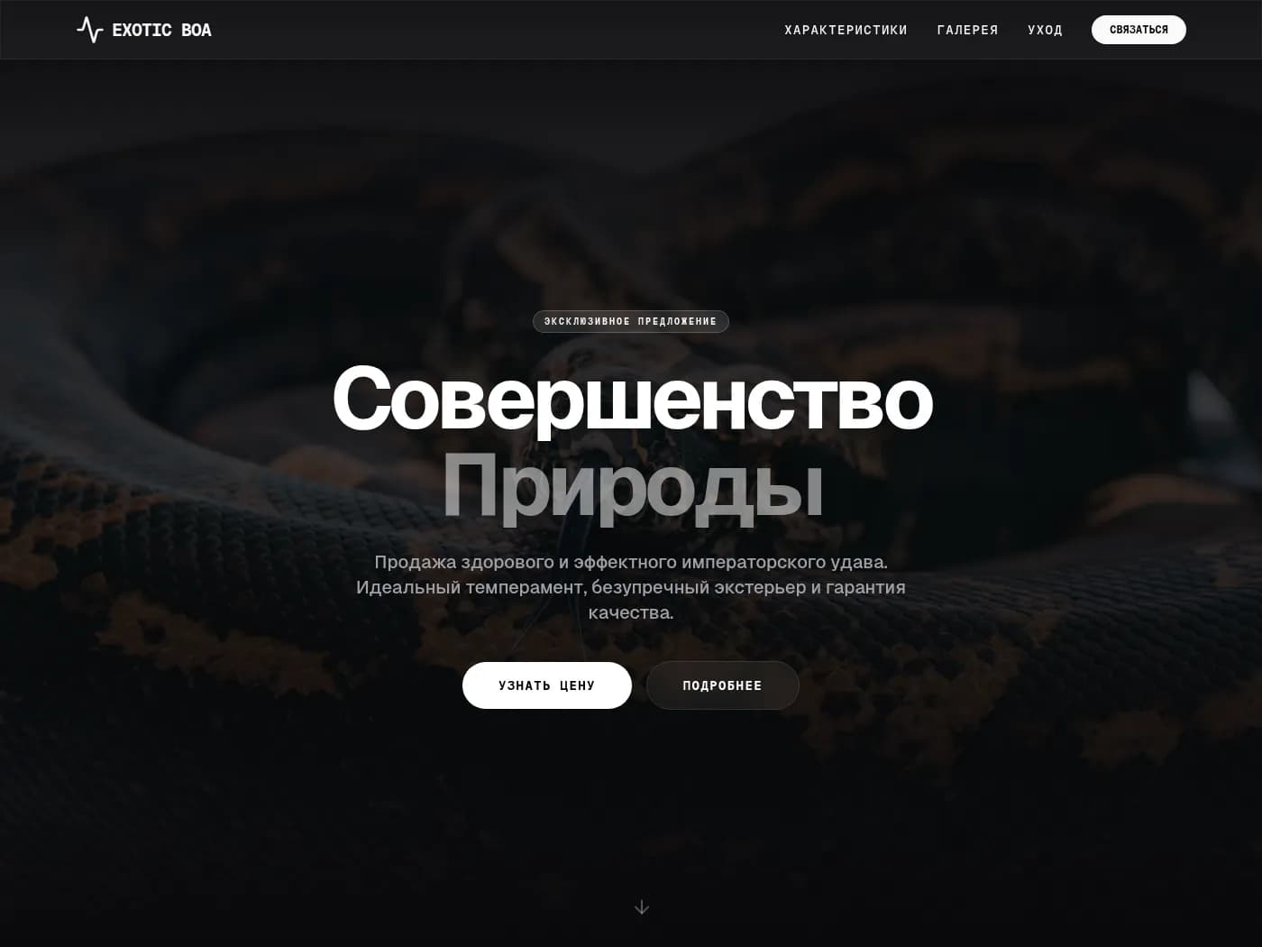 Snake Sale Landing