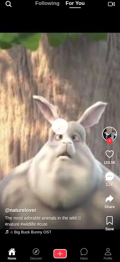 SnapFeed Video App