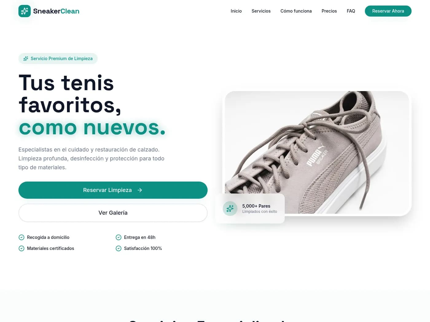 Sneaker Clean Service