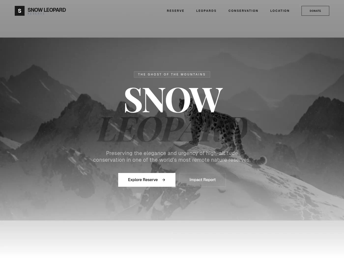Snow Leopard Reserve Page