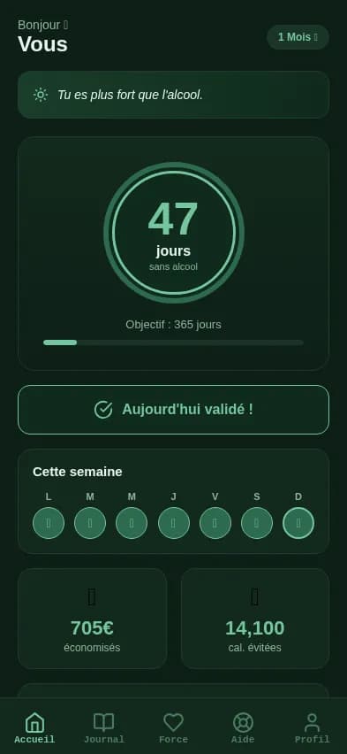 Sobriety Support App