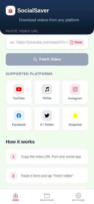 SocialSaver Downloader