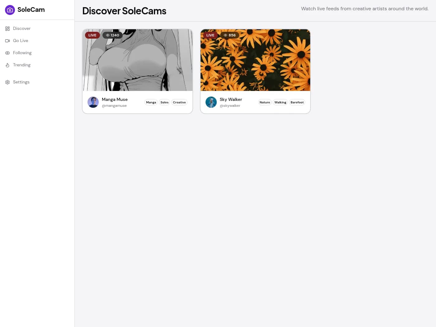SoleCam Viewer