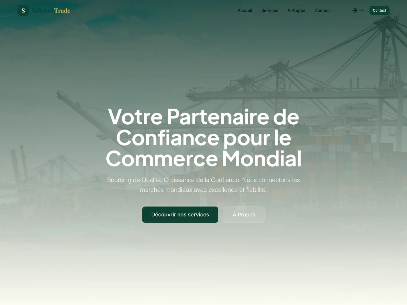 Solterra Trade Group Site
