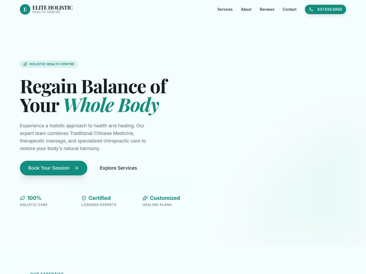 Elite Holistic Spa Web