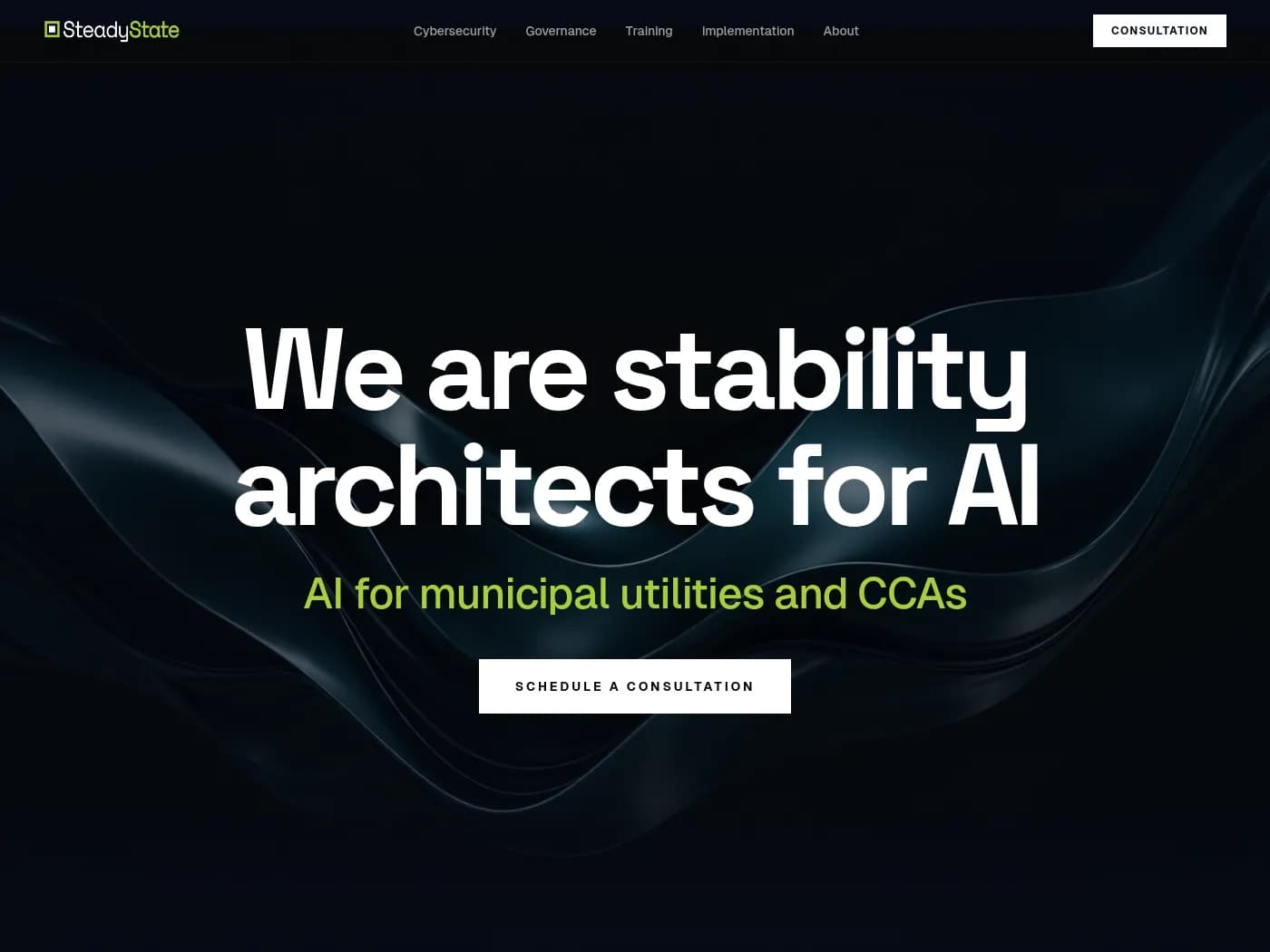 SteadyState AI Consulting