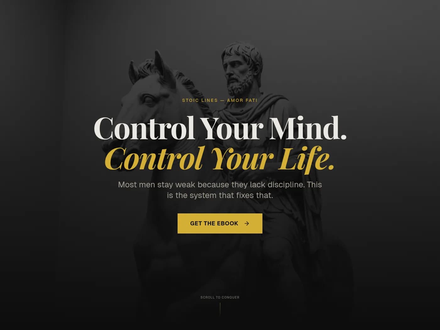 Stoic Lines Landing Page