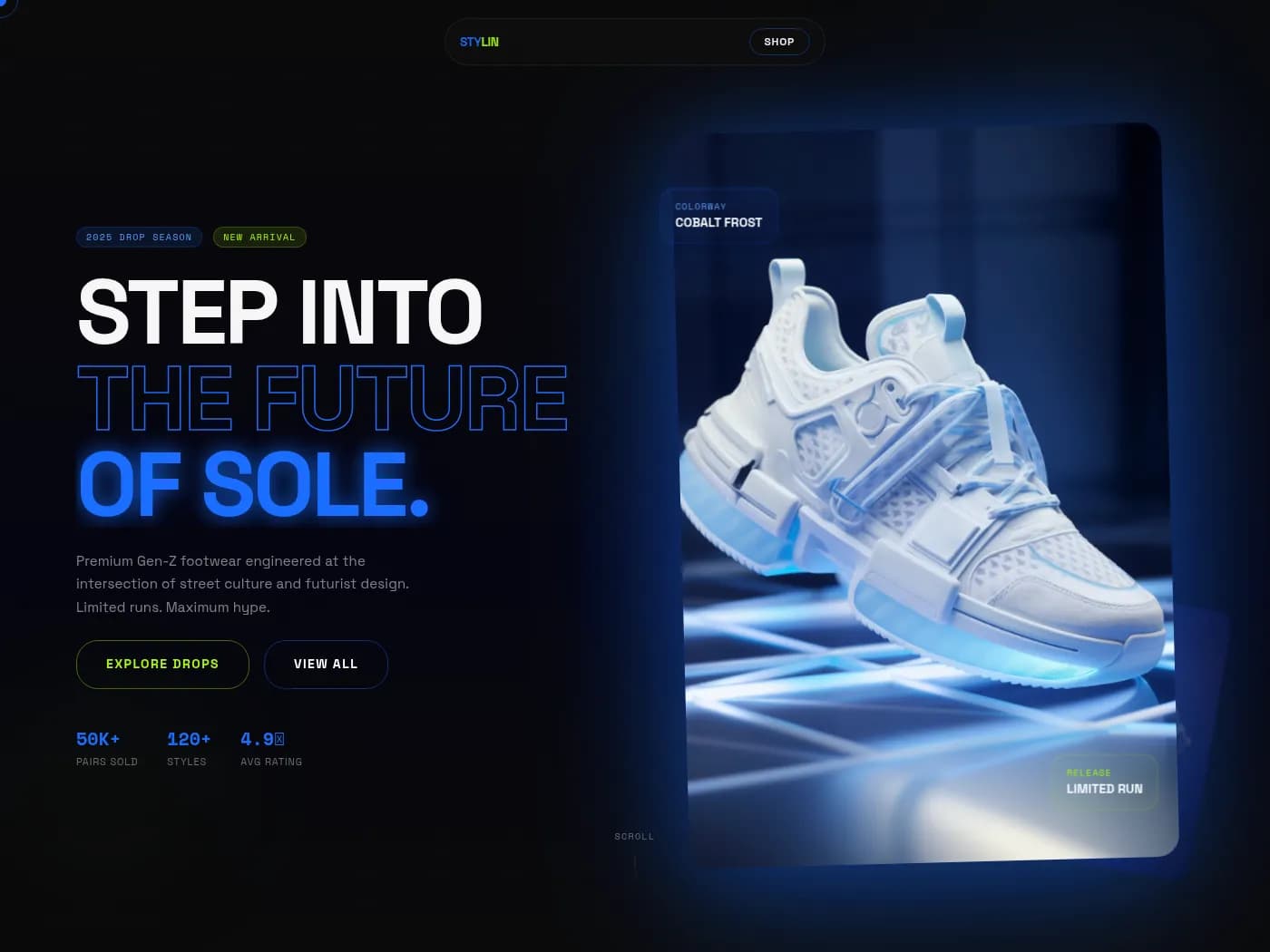 Stylin Sneakers Showcase