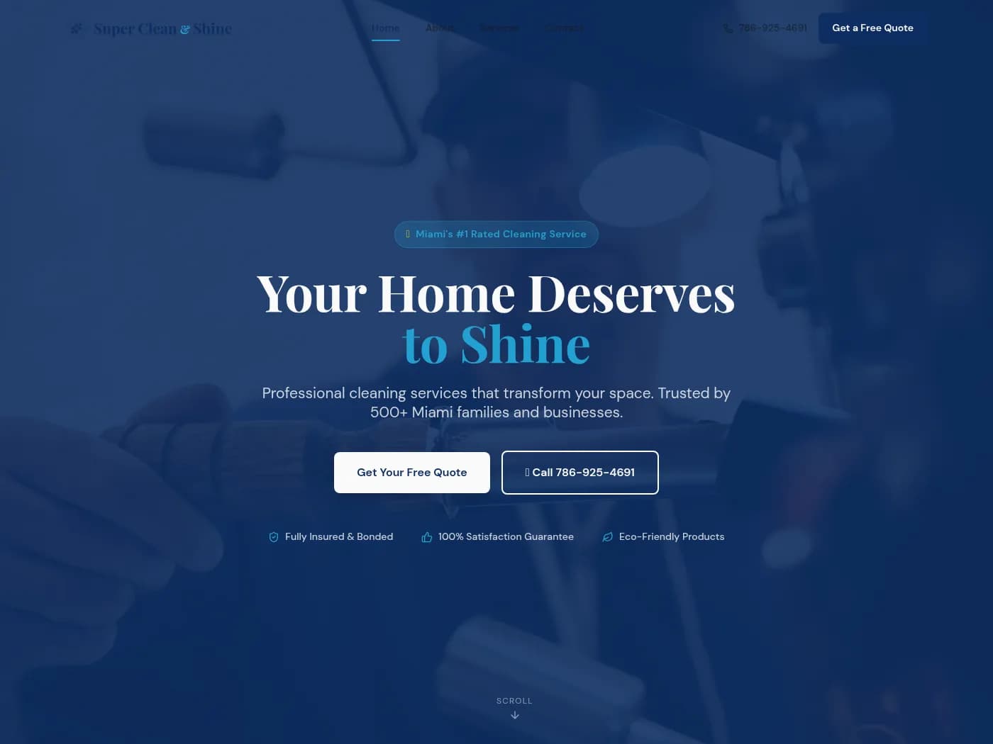 Super Clean & Shine Web