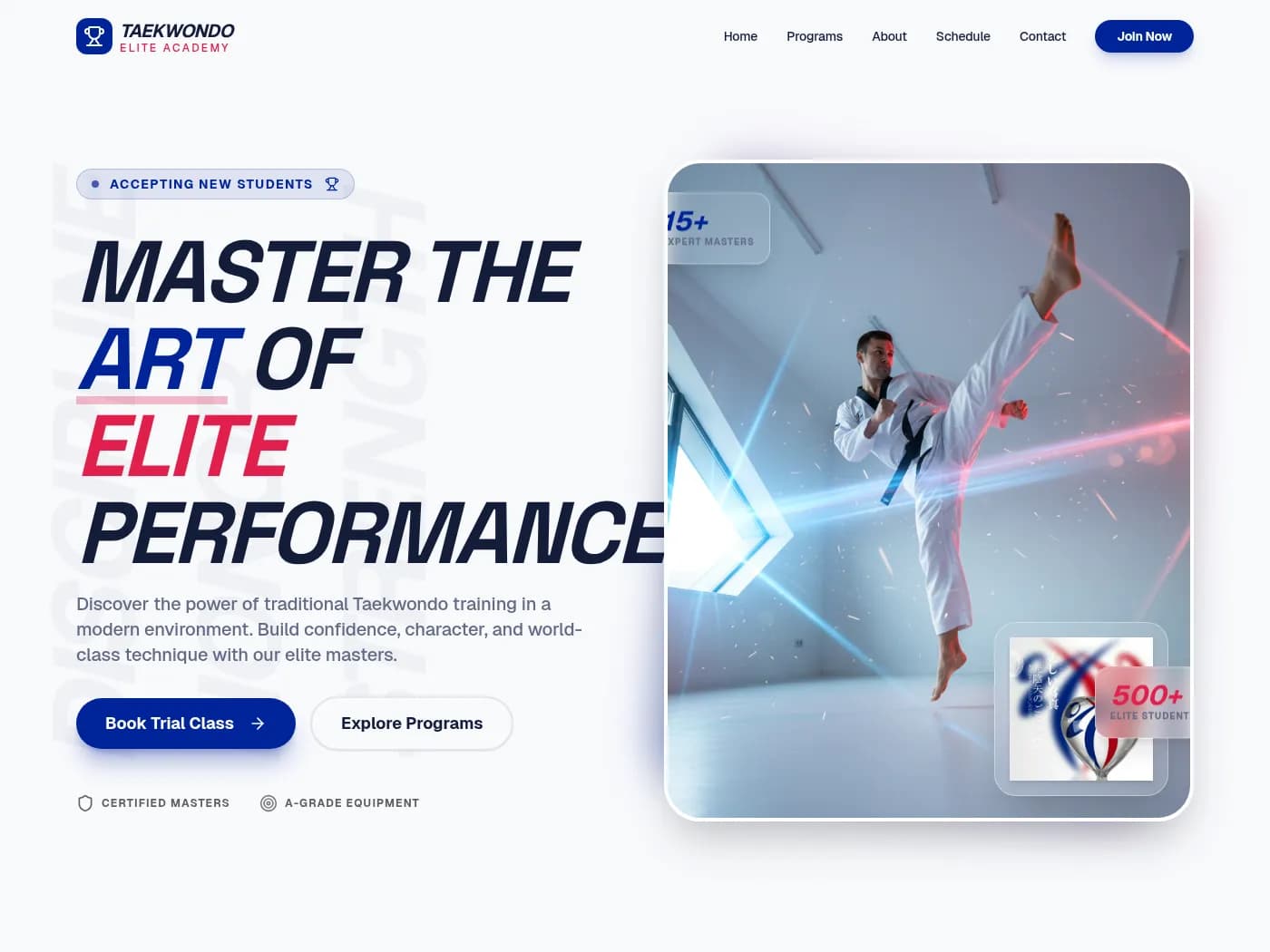 Taekwondo Elite Academy