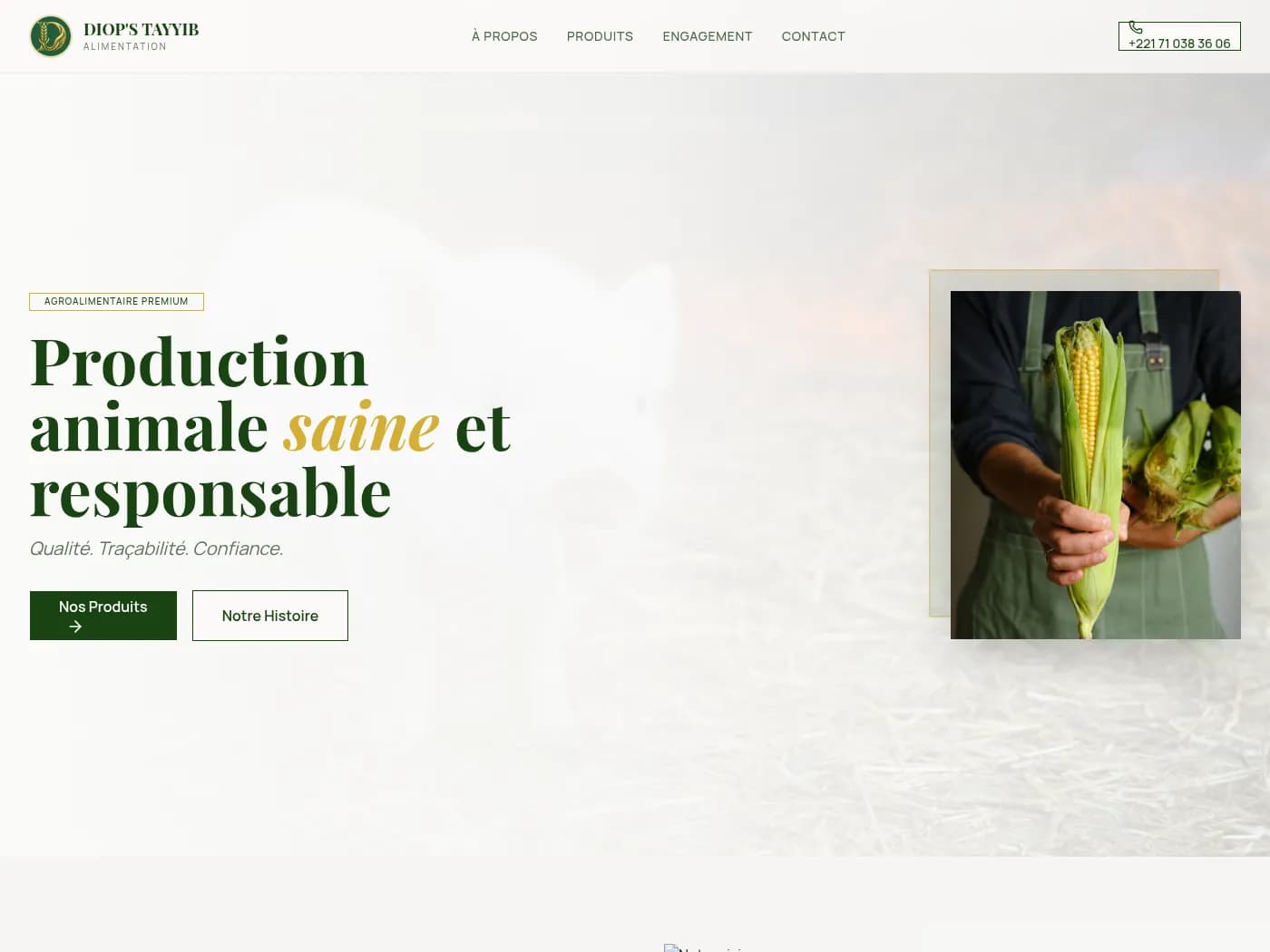 DiopsTayyib_site