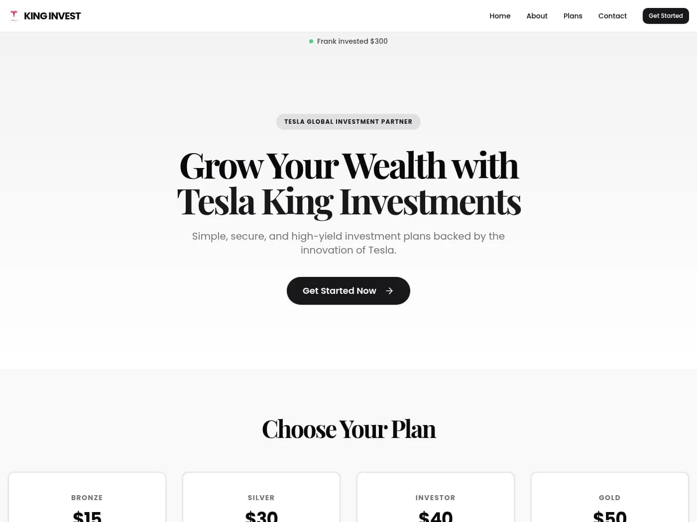 Tesla King Investments