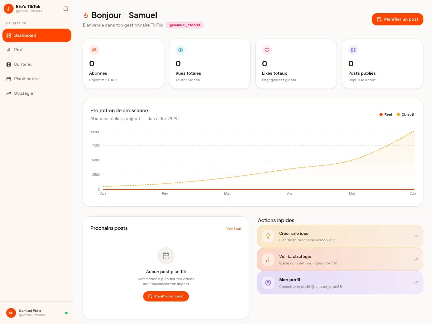 TikTok Account Manager