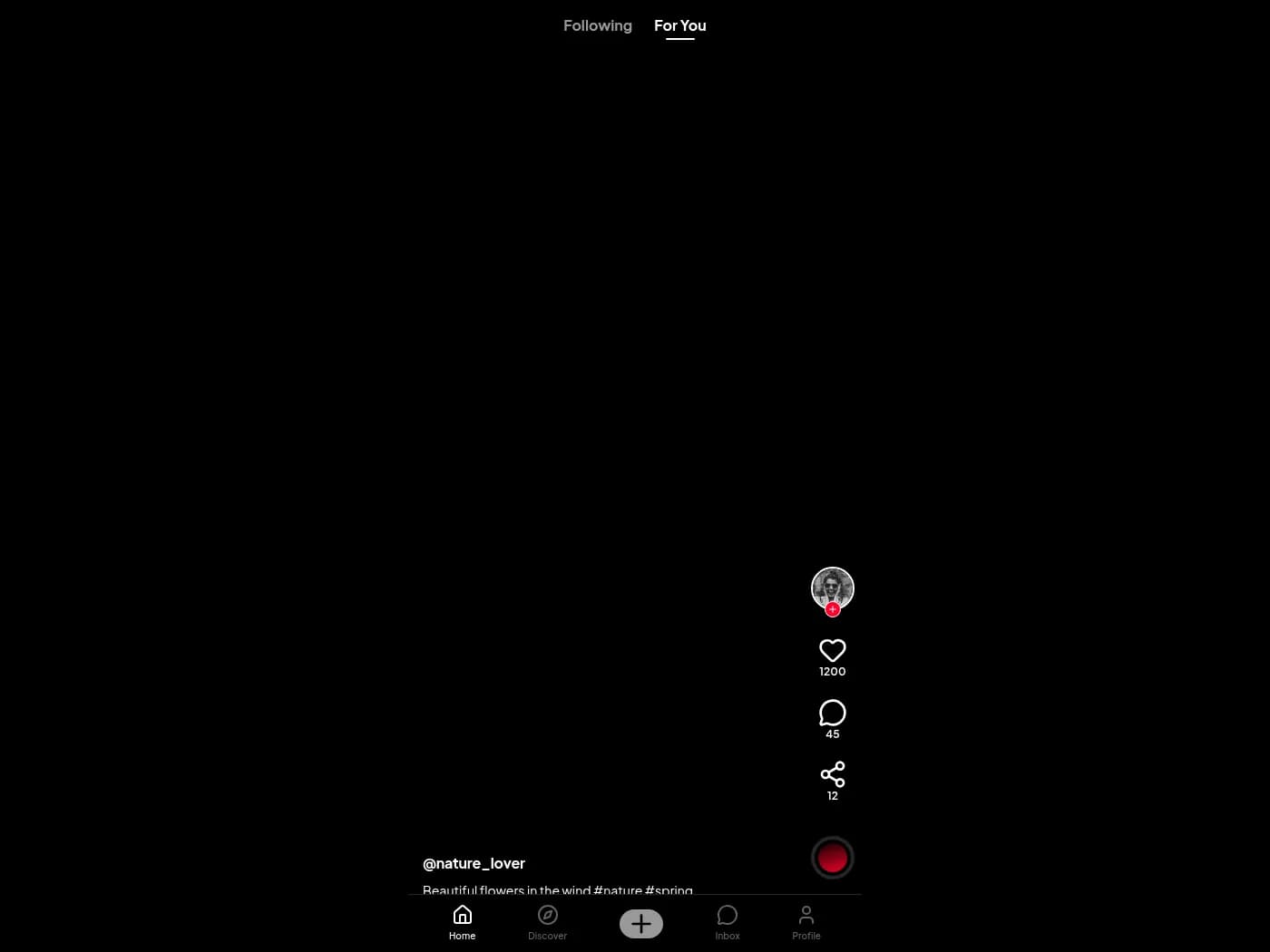 TikTok Clone