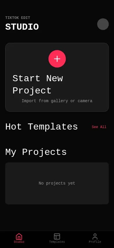 TikTok Edit Studio