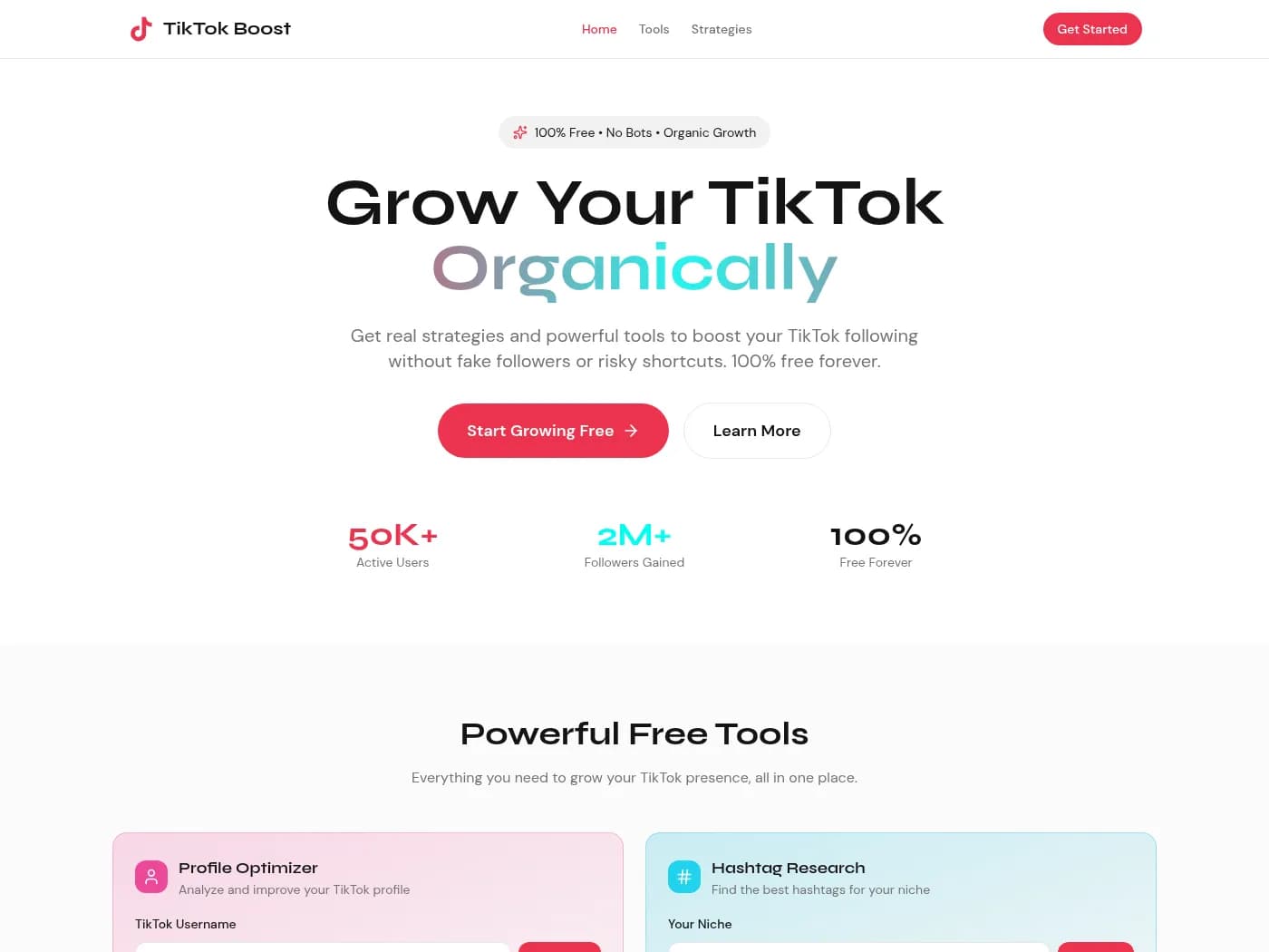 TikTok Follower Boost