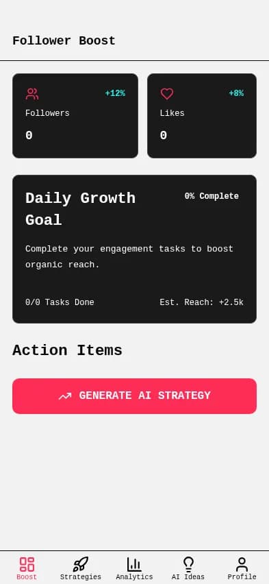 TikTok Follower Boost