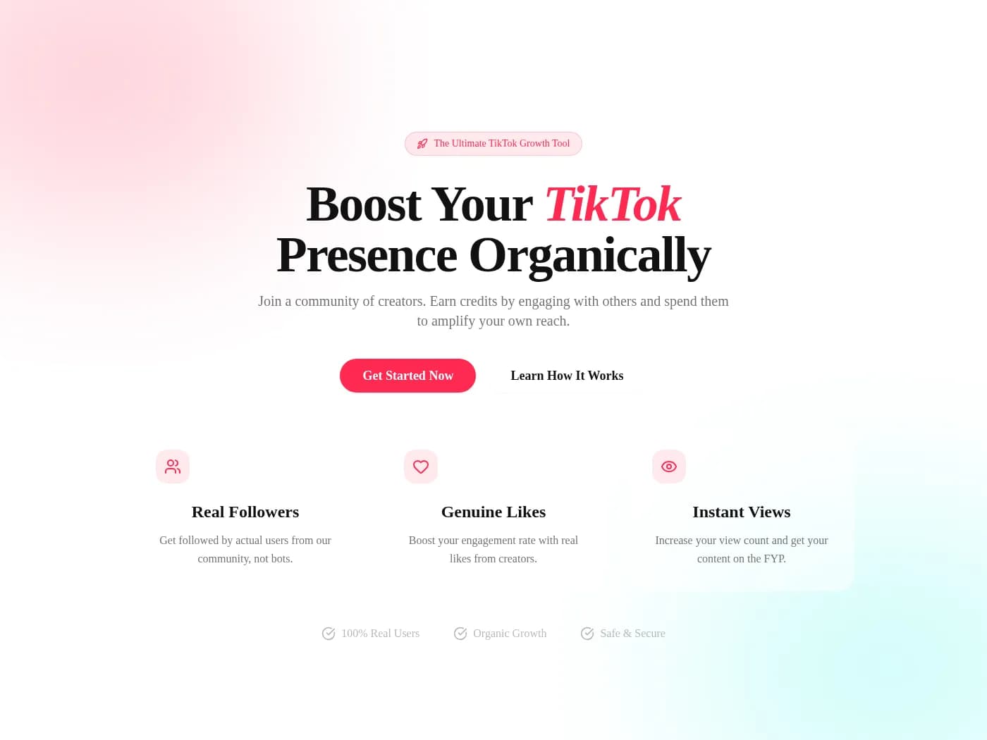 TikTok Growth Booster