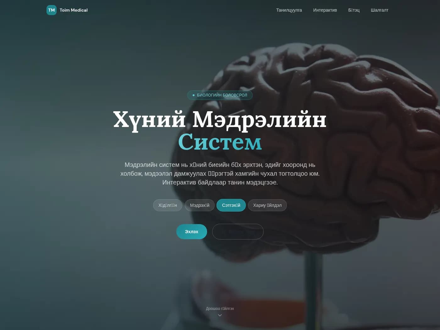 Toim Medical Clone