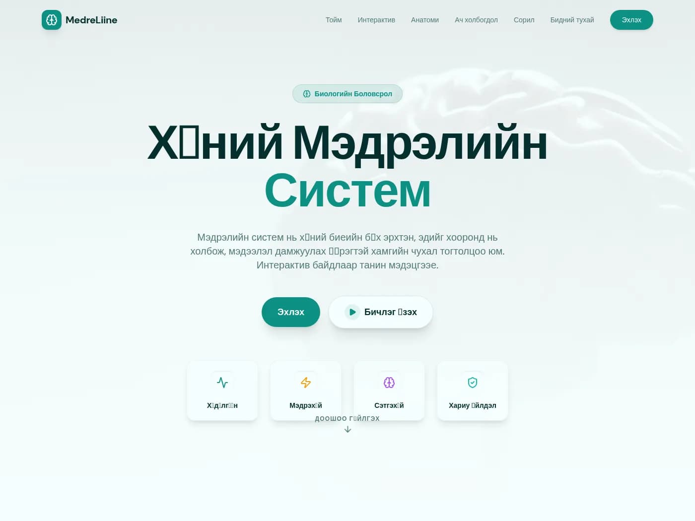 Toim Page Medical System