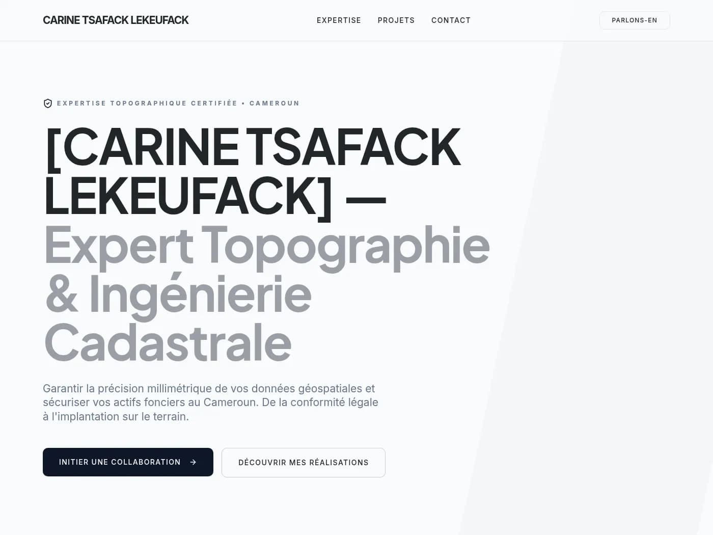 TopoPortfolio Pro