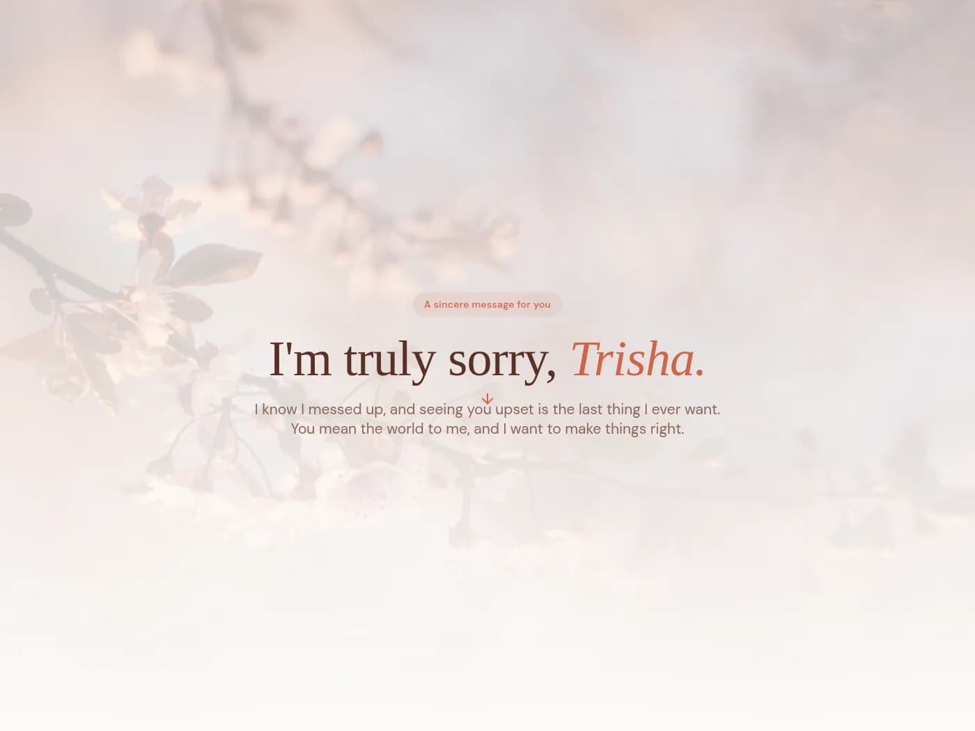 Trisha Apology Page
