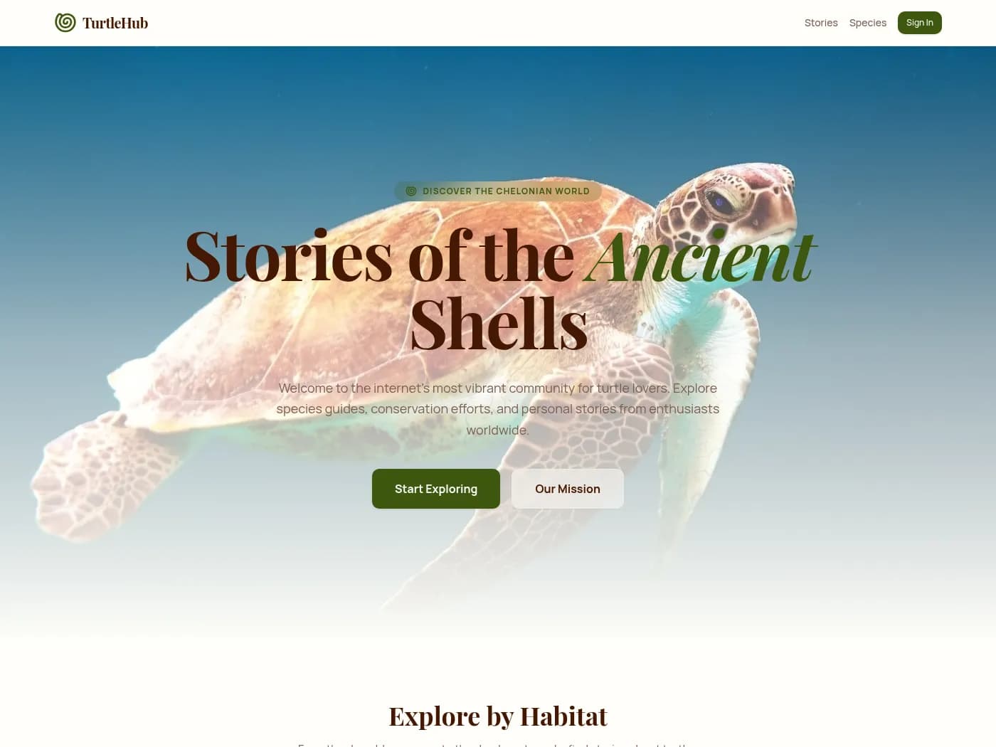 Turtle Blog Hub