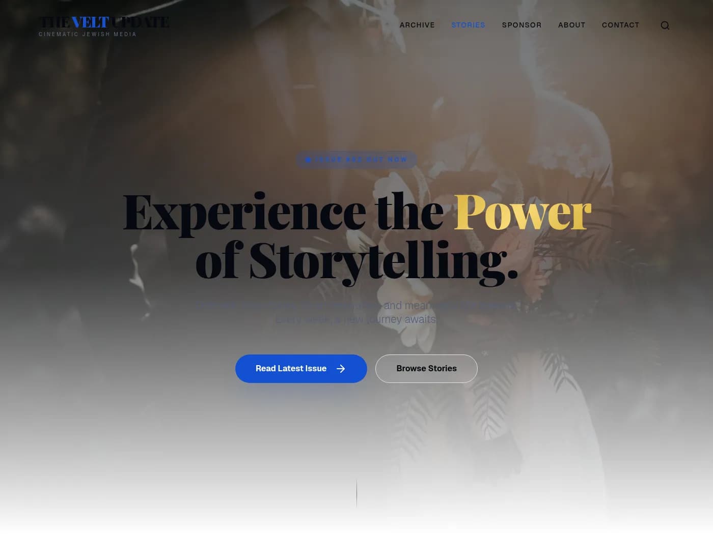 Velt Update Media Site