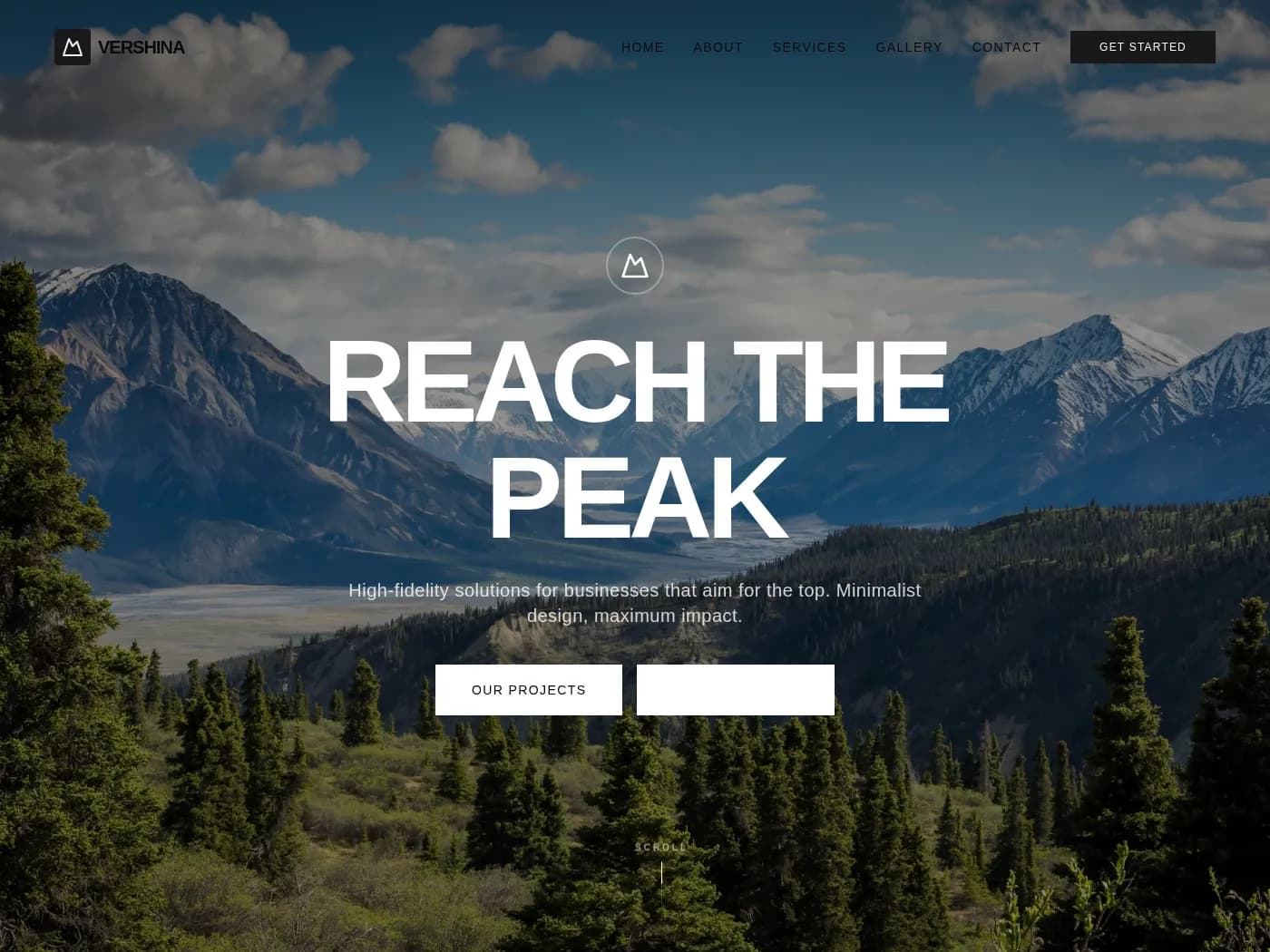 Vershina Website