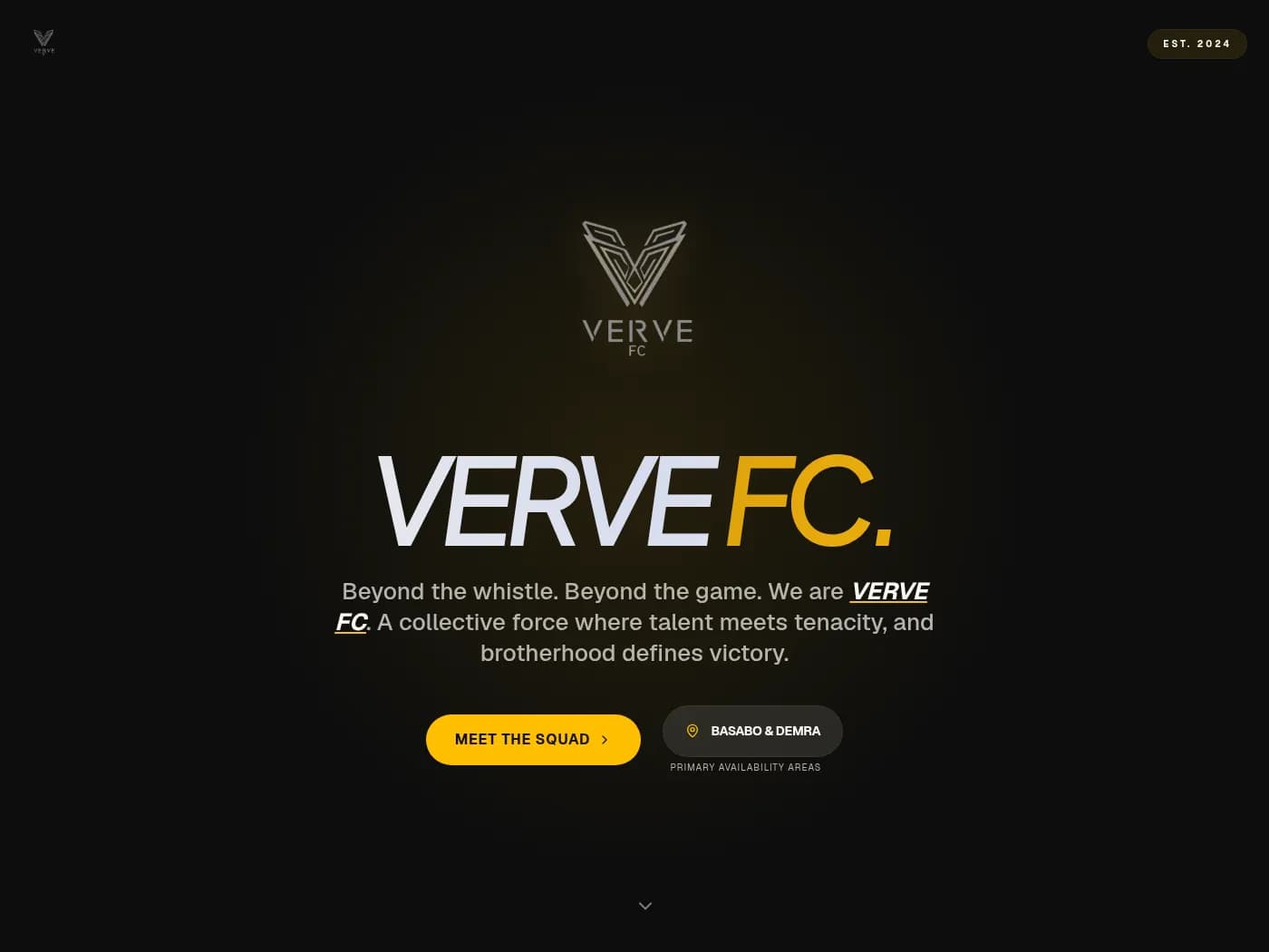 VERVE FC Team Website