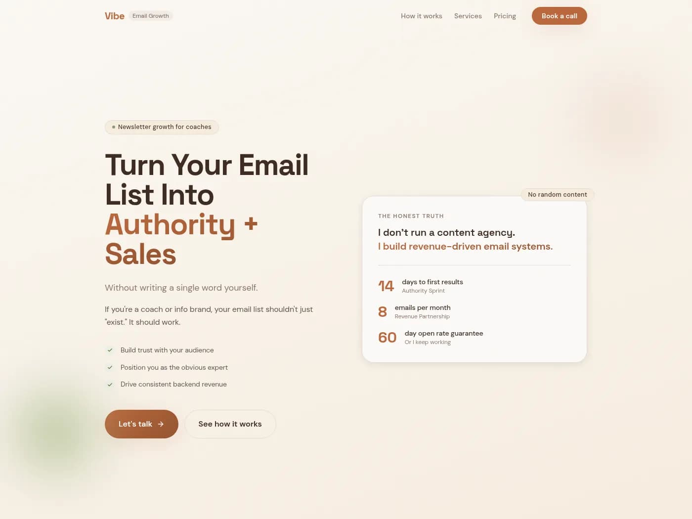 Vibe Email Growth Landing