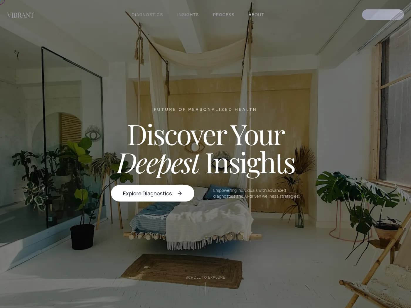 Vibrant Agency Showcase
