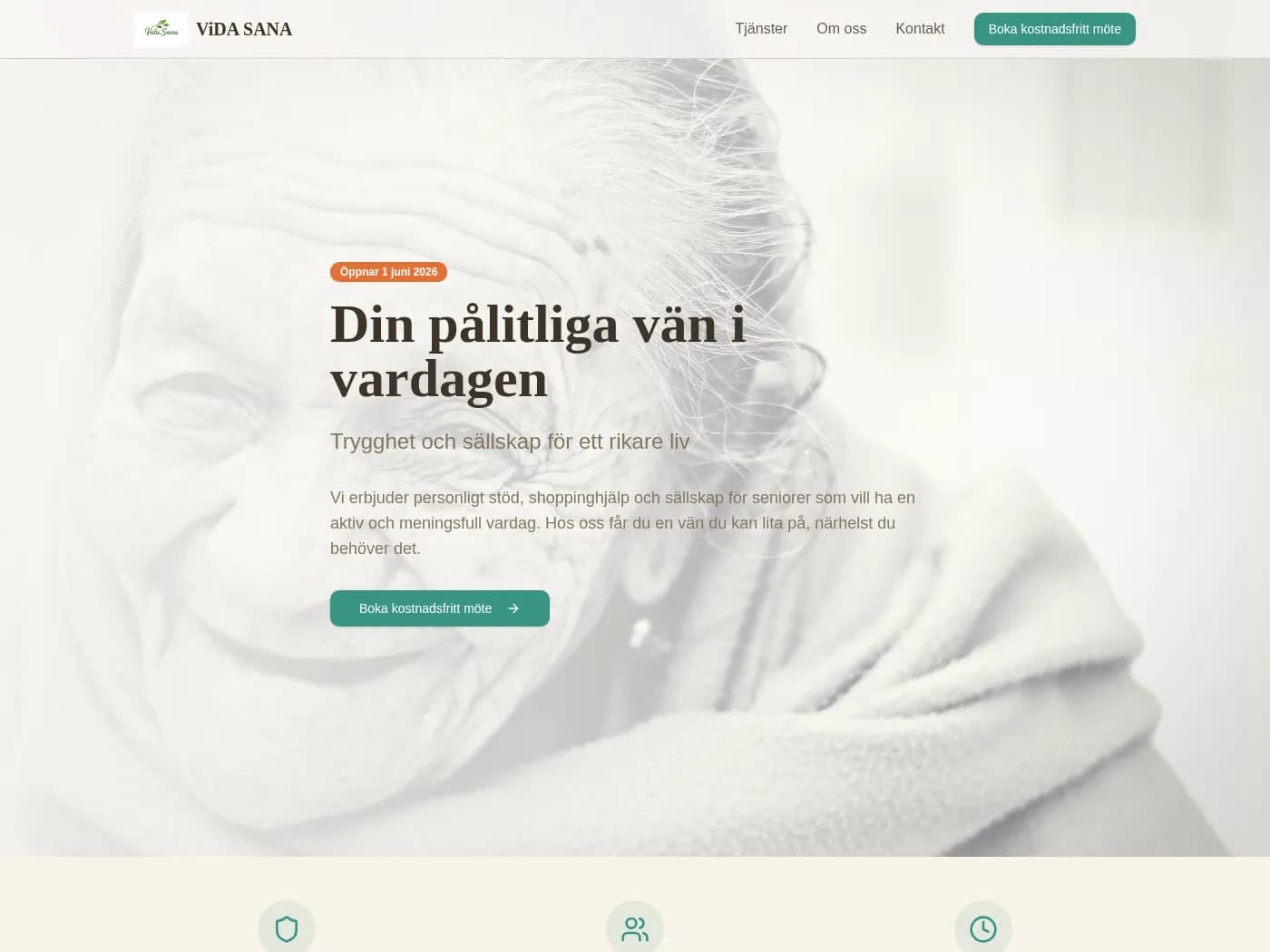 Vida Sana Wellness Site