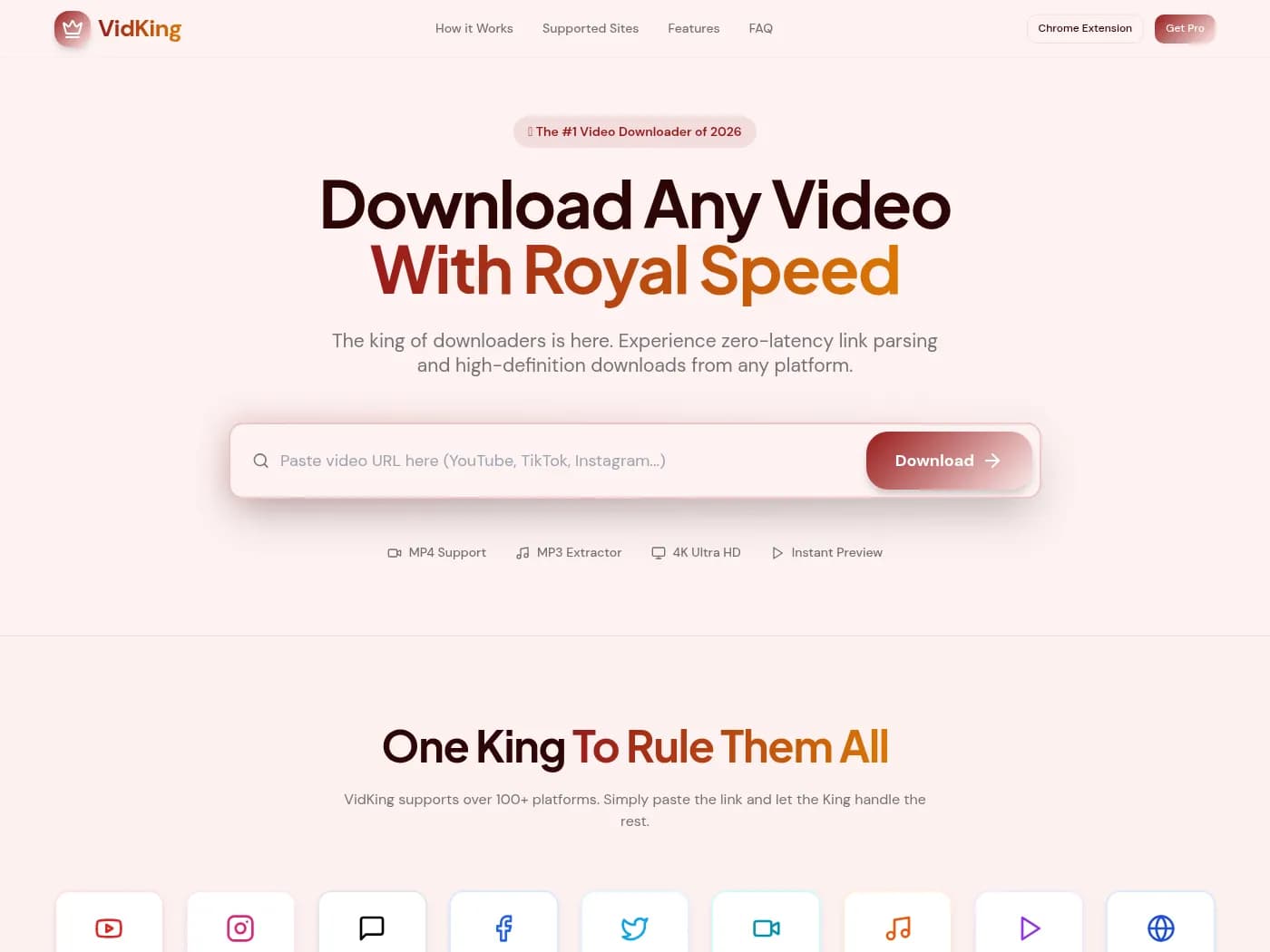 VidKing Video Downloader