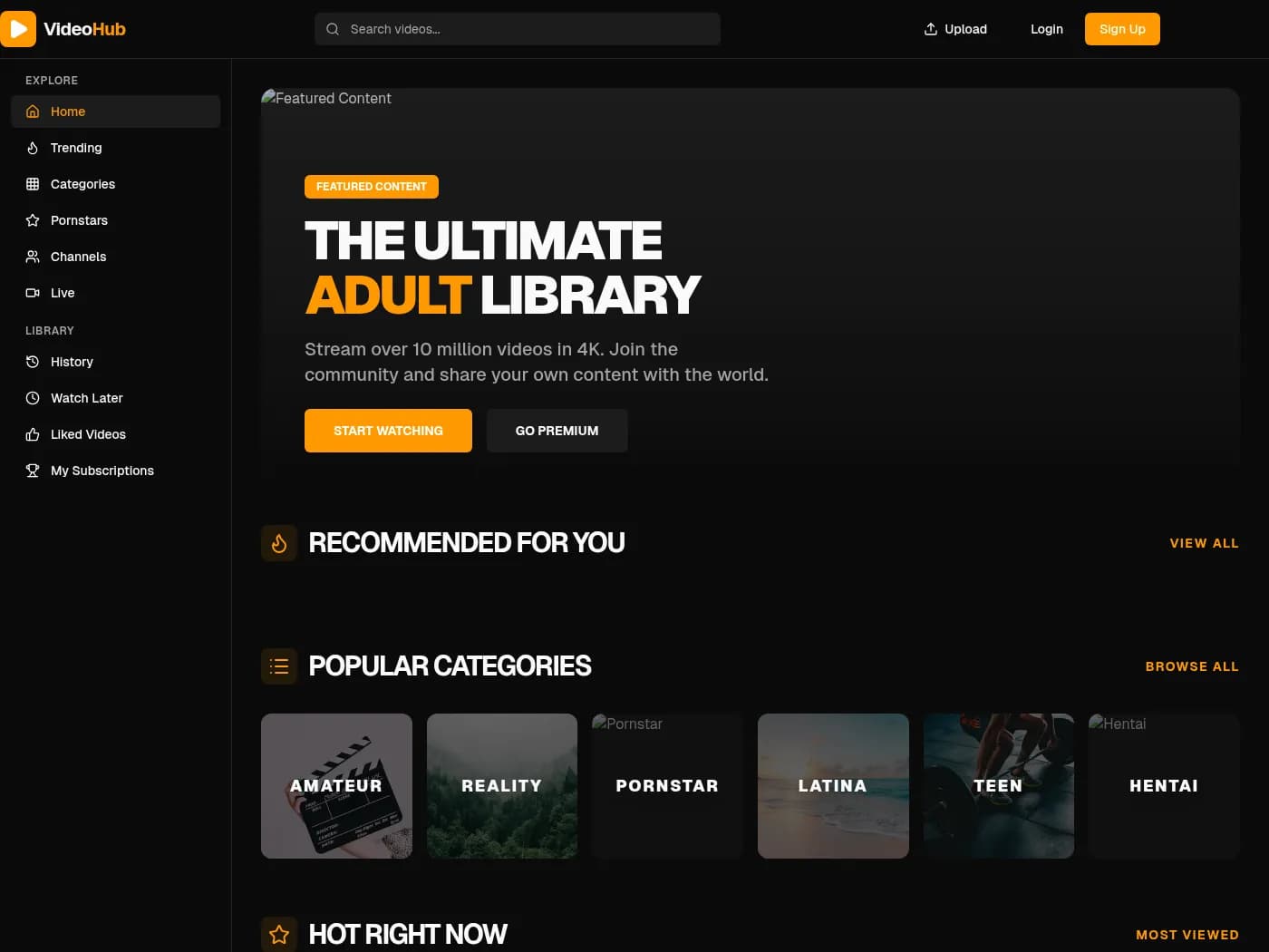 VideoHub Clone