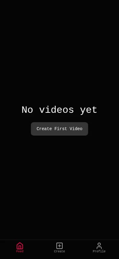 VideoMaster Pro