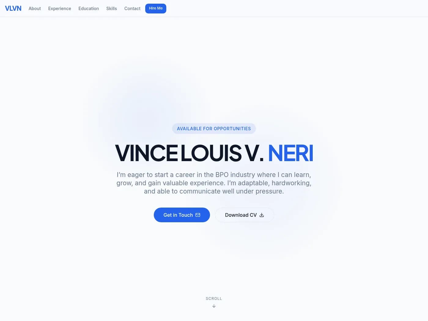 Vince Neri Professional Site