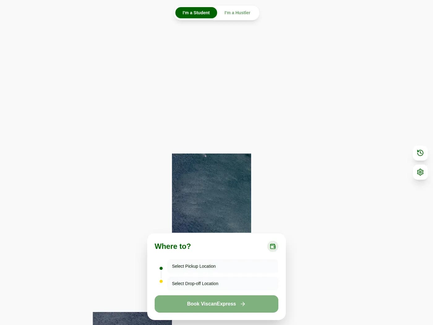 ViscanExpress Grab Lite
