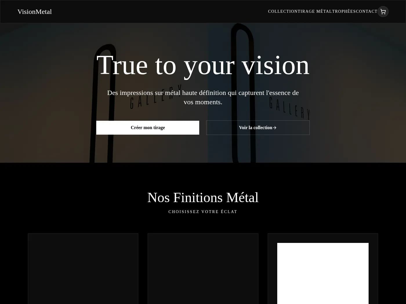 VisionMetal Prints