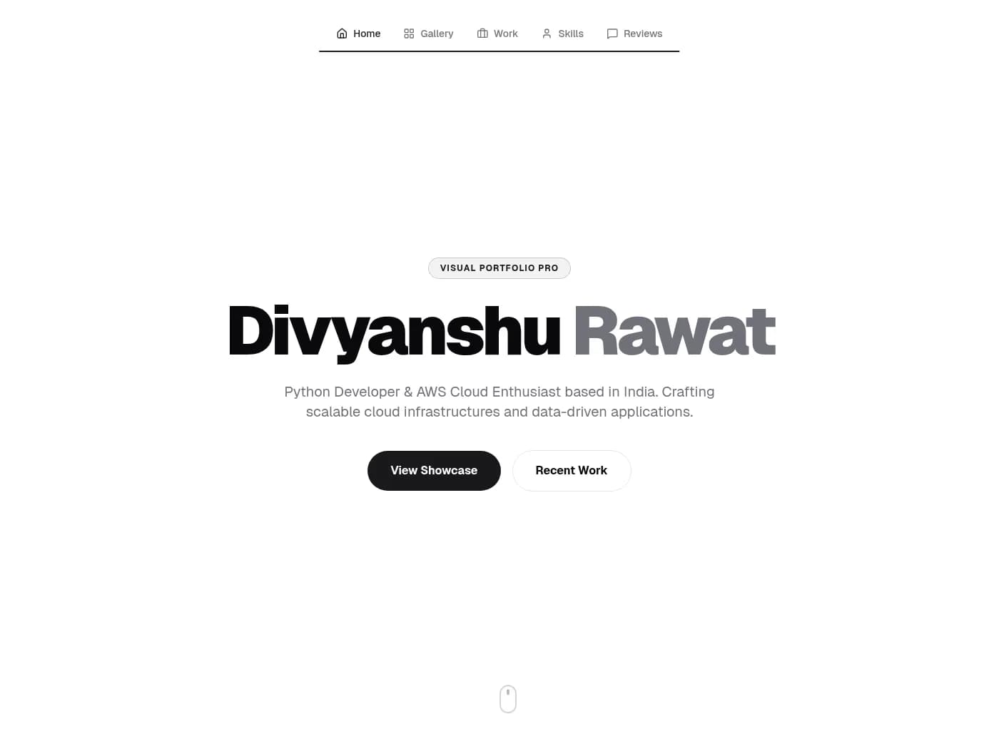 Visual Portfolio Pro