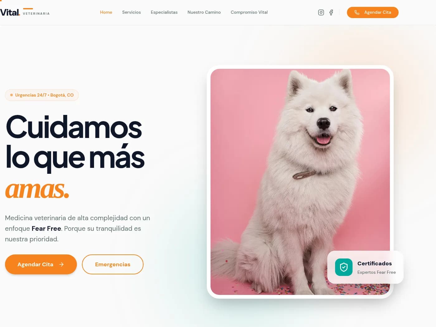 VitalVet Web Clone