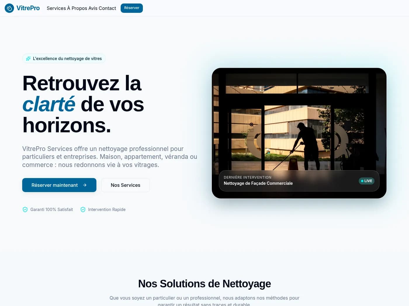 VitrePro Services