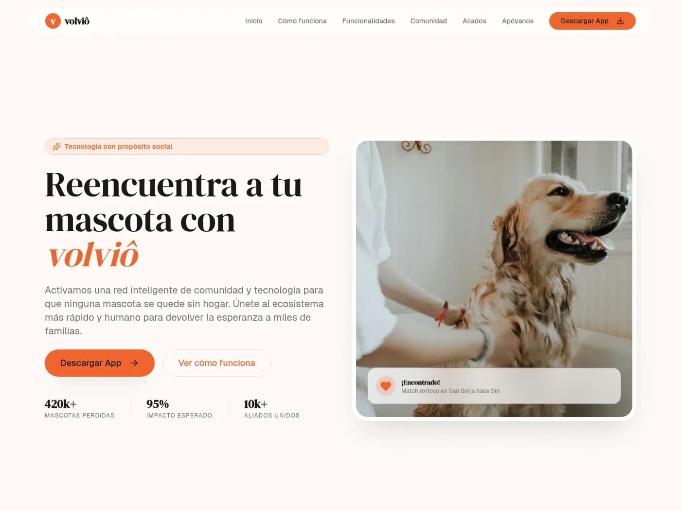 Volviô Web Experience
