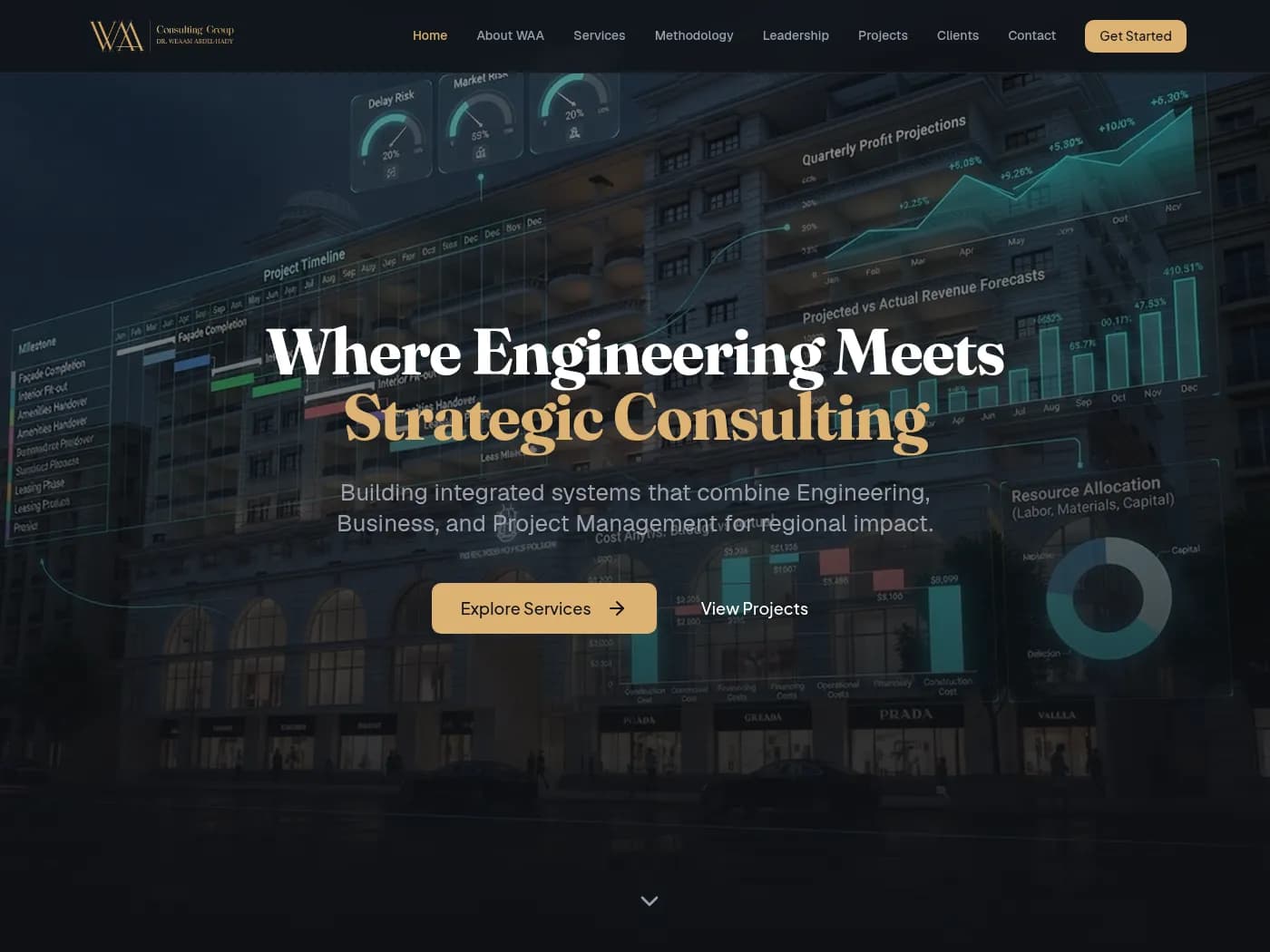WAA Executive Web Presence
