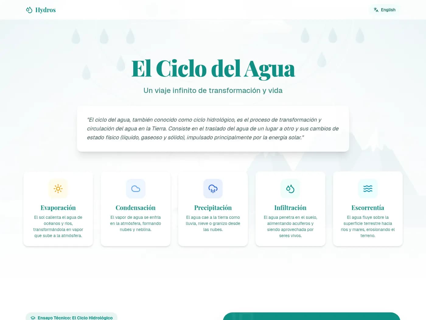 Water Cycle Bilingual Poster